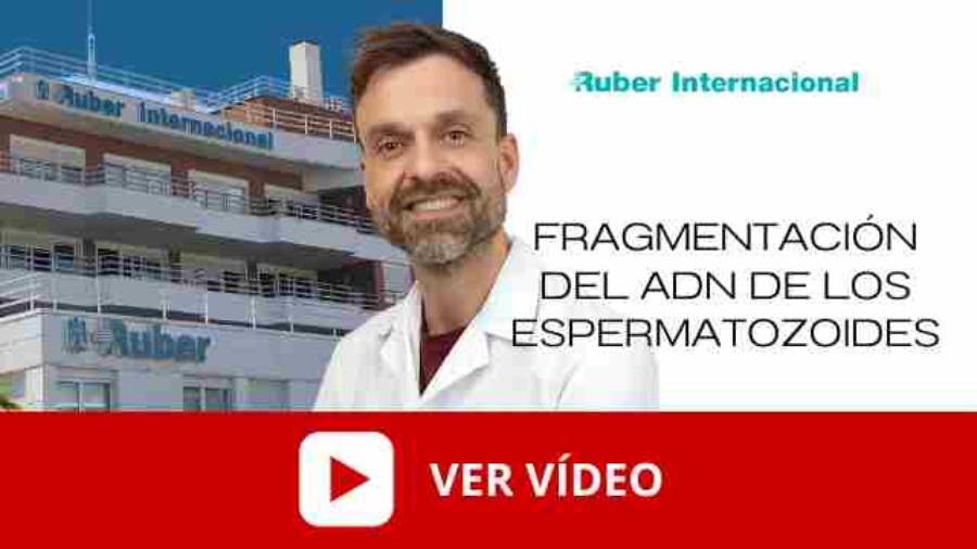 Fragmentación del ADN Espermático, Fertilidad Masculina y FIV